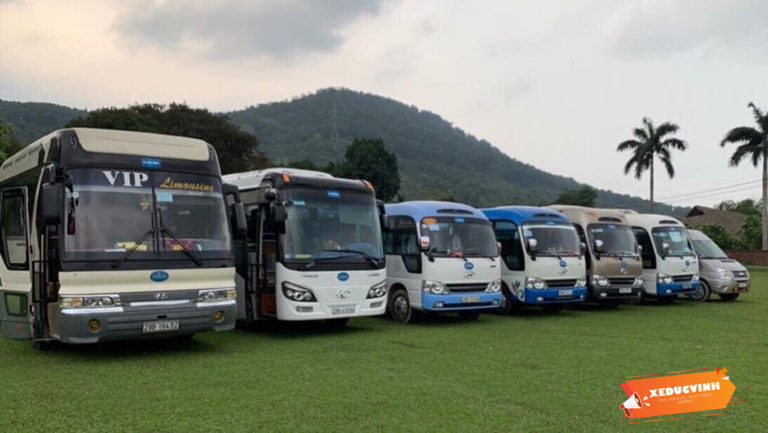 Các loại xe 16 chỗ trên thị trường Việt Nam hiện nay | Xe Đức Vinh